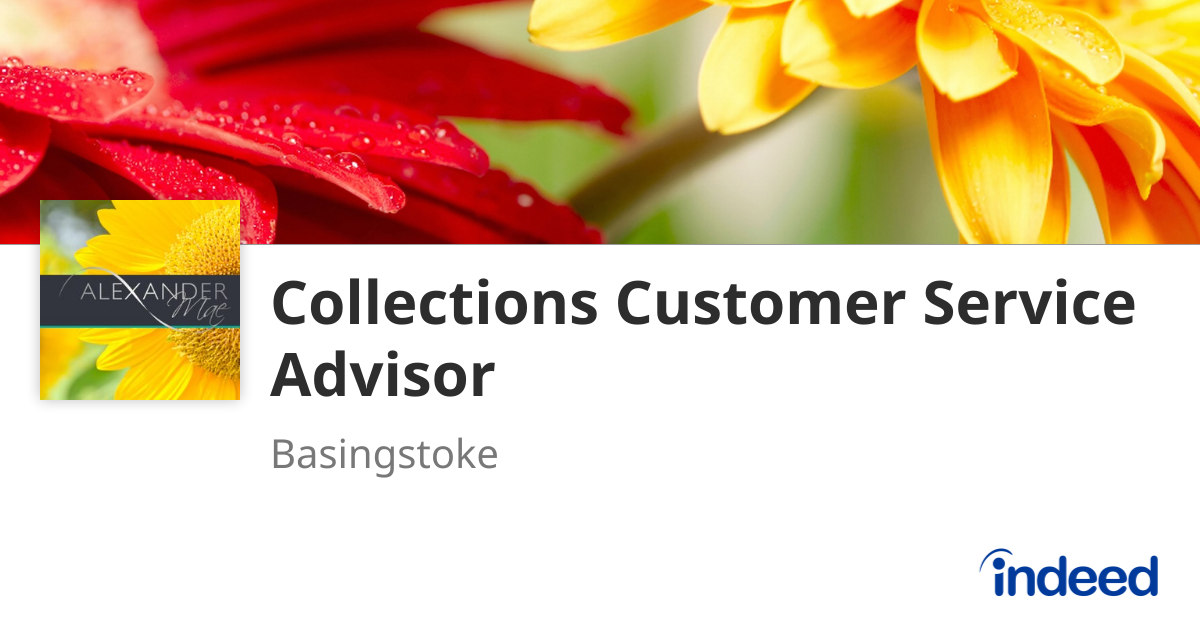 Temporary Collections Customer Service Advisor - Basingstoke - Indeed.com