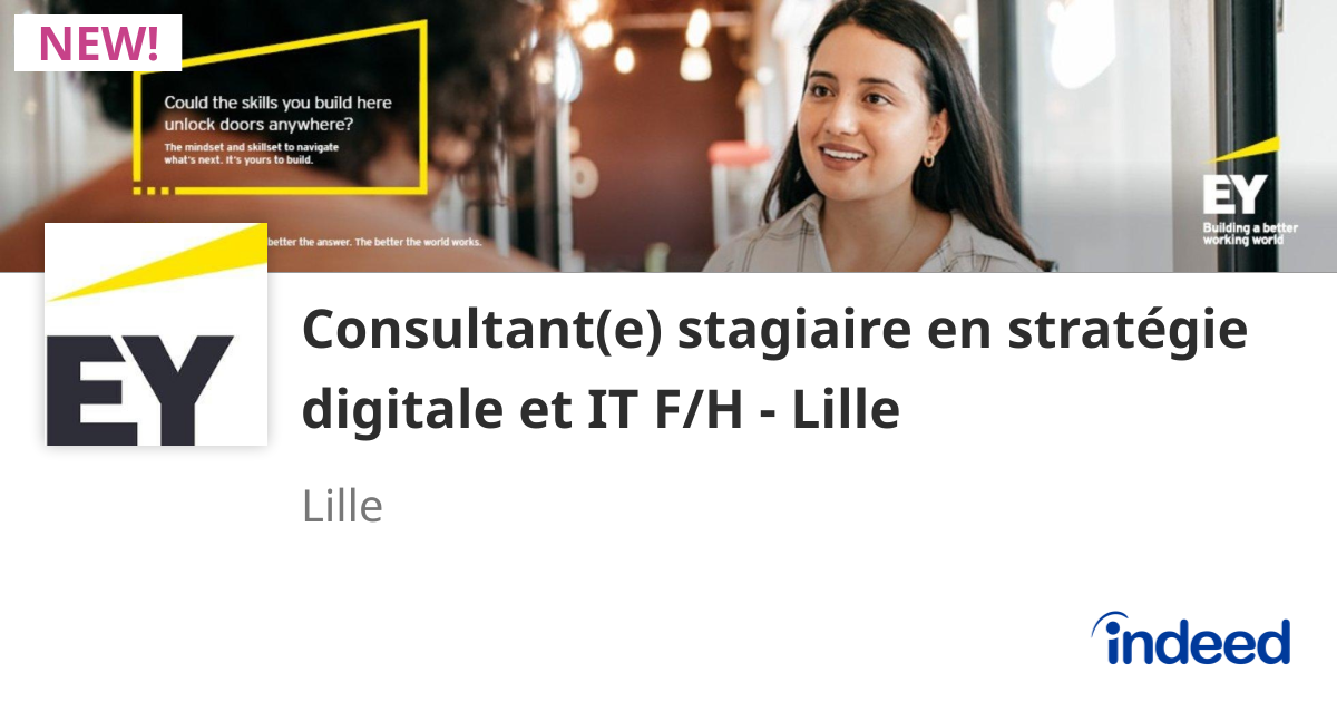 Consultant(e) stagiaire en stratégie digitale et IT F/H - Lille - 59000 ...
