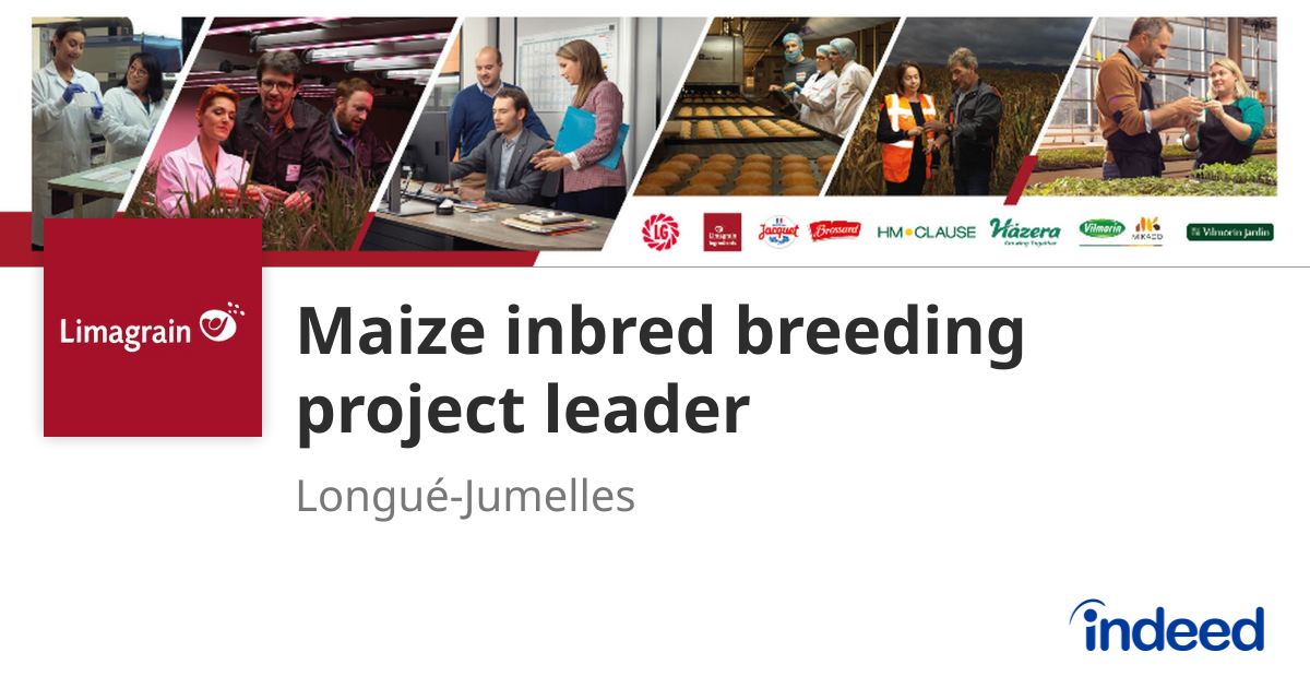 Maize inbred breeding project leader - 49160 Longué-Jumelles - Indeed.com