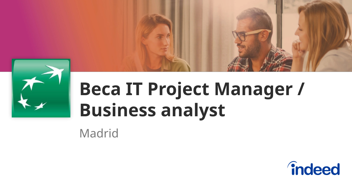 Beca IT Project Manager / Business analyst - Madrid, Madrid provincia ...