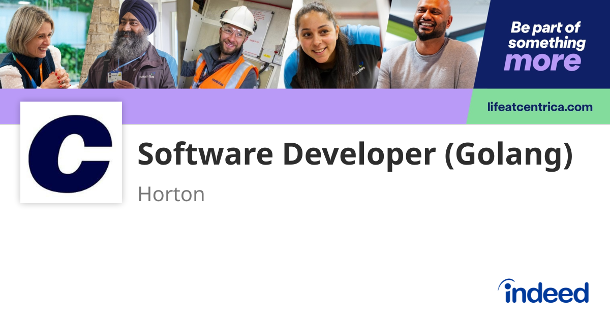 Software Developer (Golang) - Horton SL4 5GD - Indeed.com