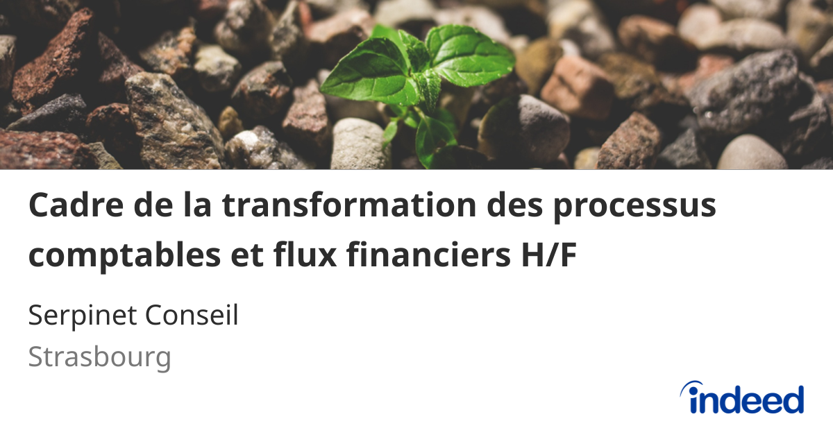 Cadre de la transformation des processus comptables et flux financiers ...