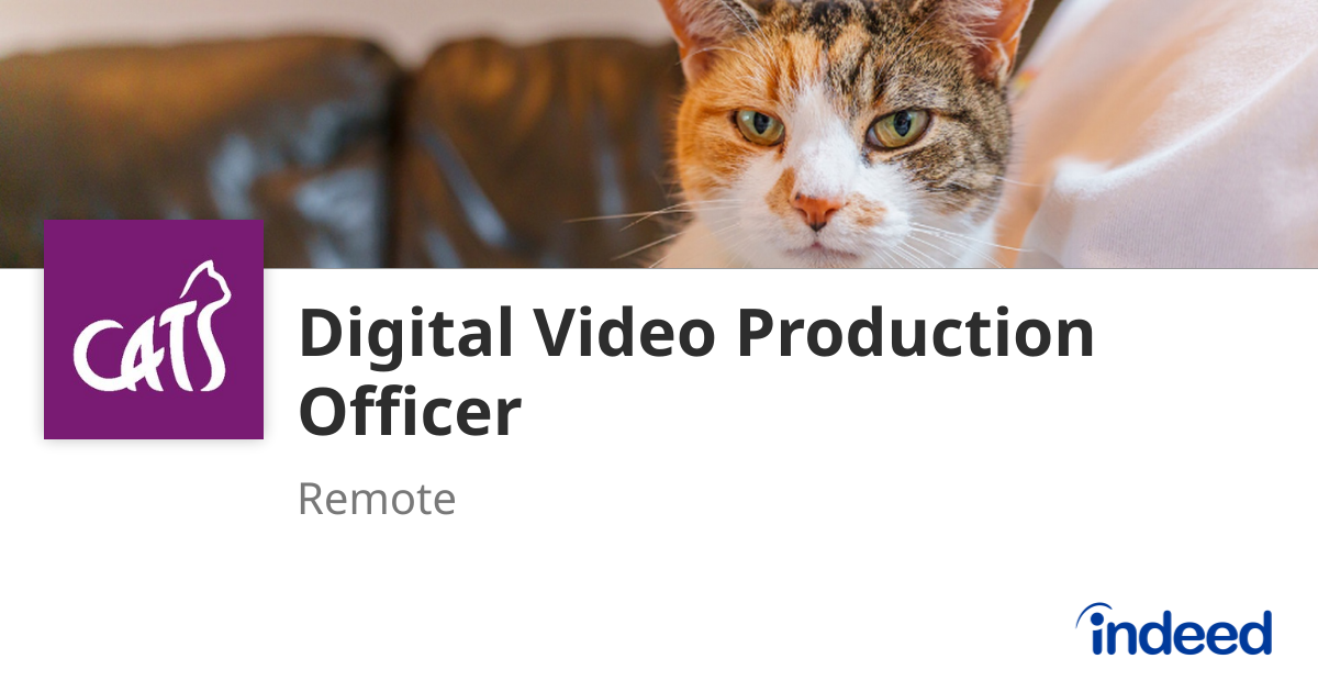 Digital Video Production Officer - Remote - Indeed.com