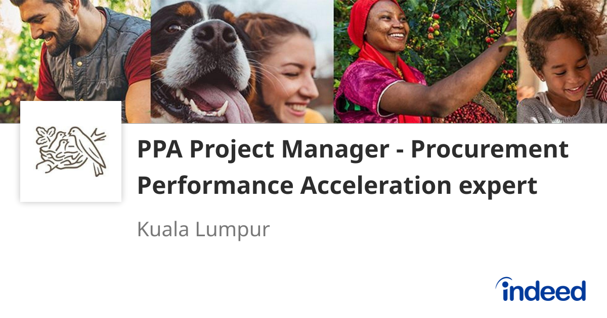PPA Project Manager - Procurement Performance Acceleration expert ...