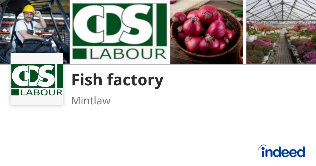 Fish factory - Mintlaw - Indeed.com