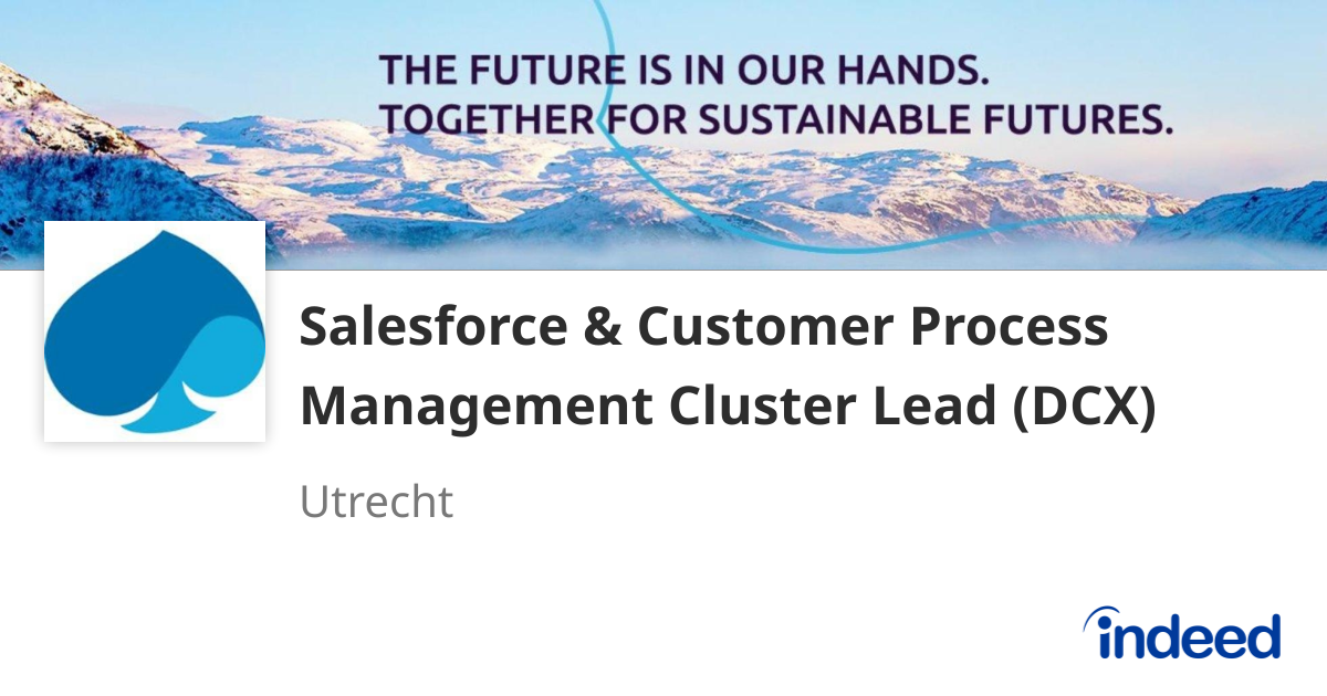 Salesforce & Customer Process Management Cluster Lead (DCX) - Utrecht - Indeed.com