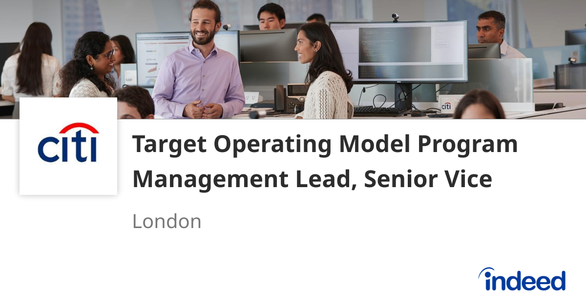 Target Operating Model Program Management Lead, Senior Vice President ...
