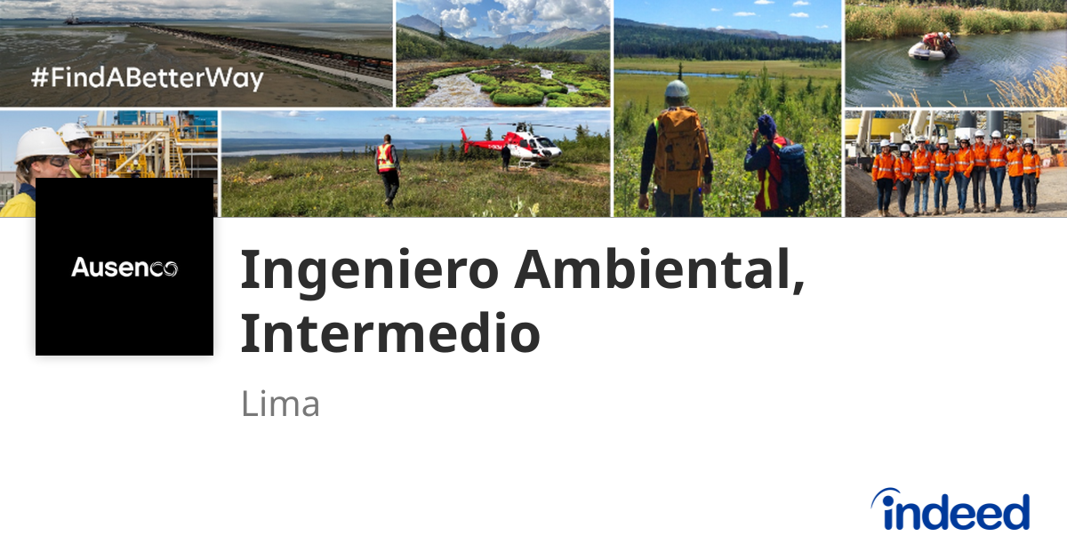 Ingeniero Ambiental, Intermedio - Lima, Lima - Indeed.com
