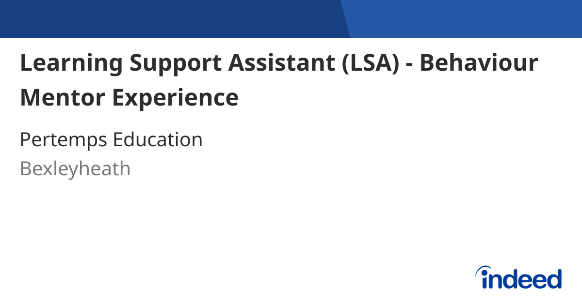 Learning Support Assistant (LSA) - Behaviour Mentor Experience ...
