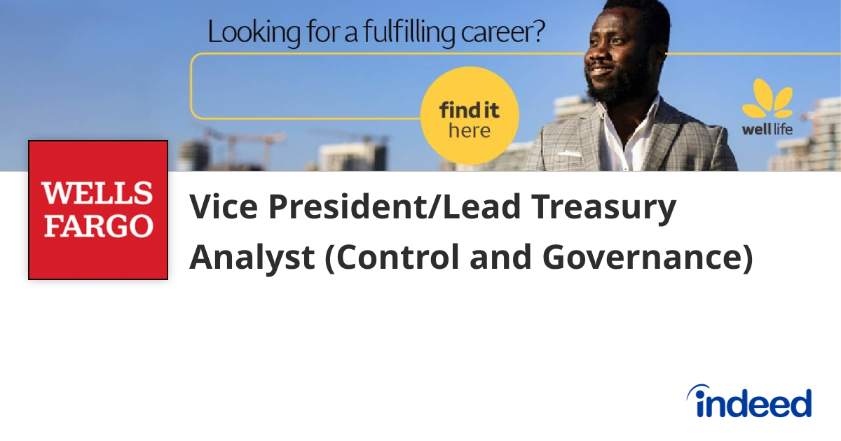 Vice President/Lead Treasury Analyst (Control and Governance ...