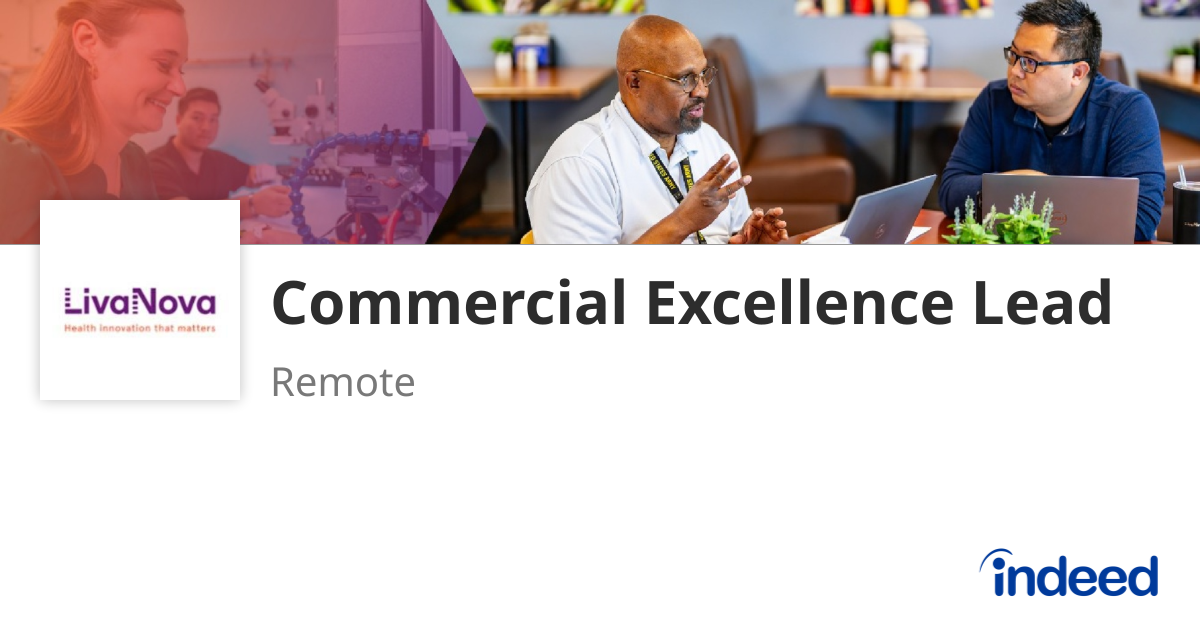 Commercial Excellence Lead - Remote - Indeed.com