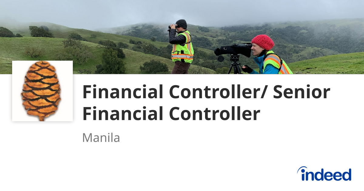 Financial Controller/ Senior Financial Controller - Manila - Indeed.com
