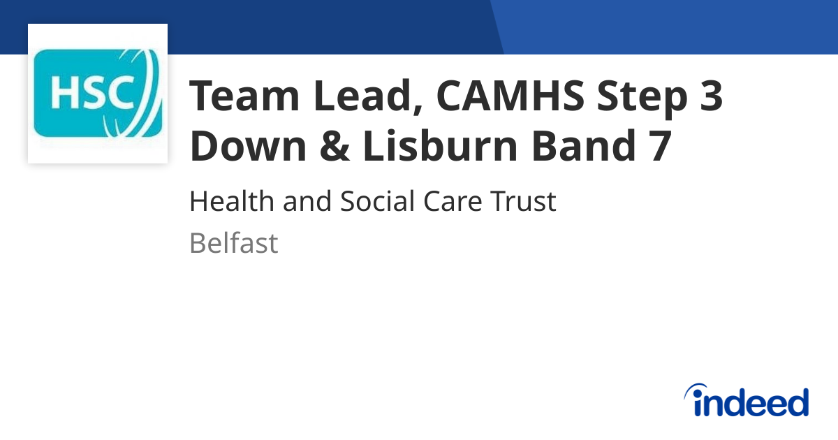 Team Lead, CAMHS Step 3 Down & Lisburn Band 7 - Belfast - Indeed.com