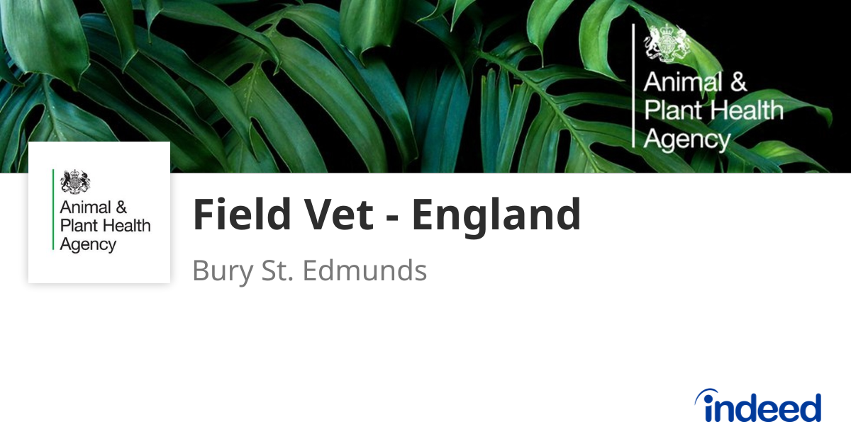 Field Vet - England - Bury St. Edmunds - Indeed.com